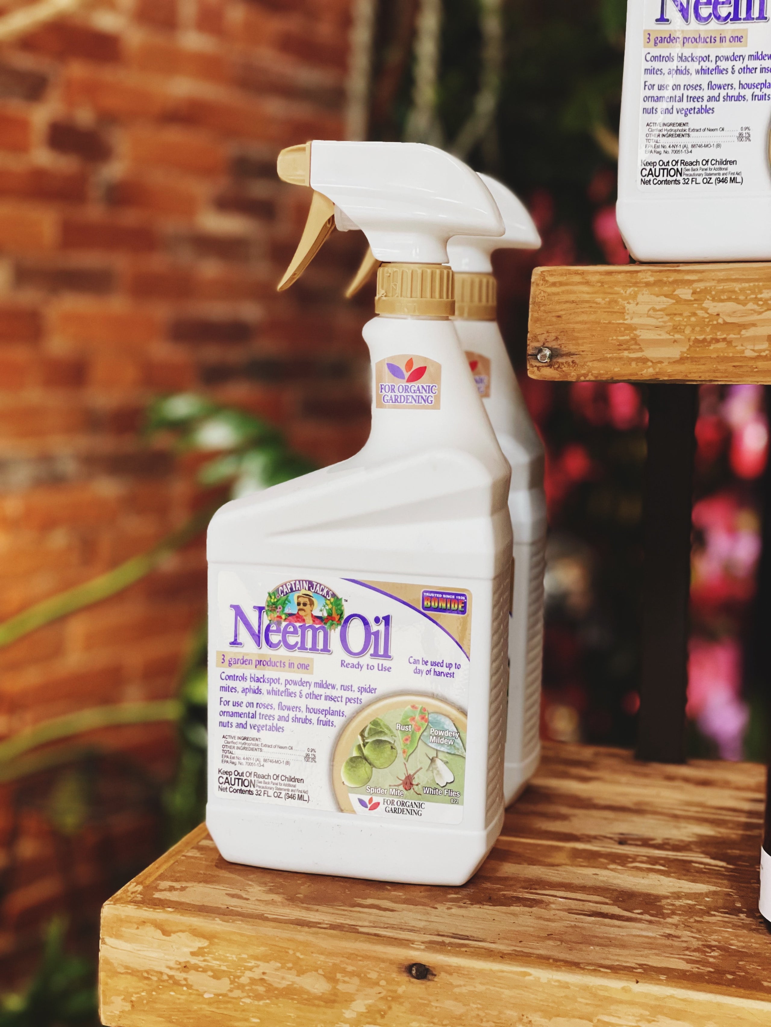 Neem Oil Fungicide Miticide Insecticide Grounded Plant Company